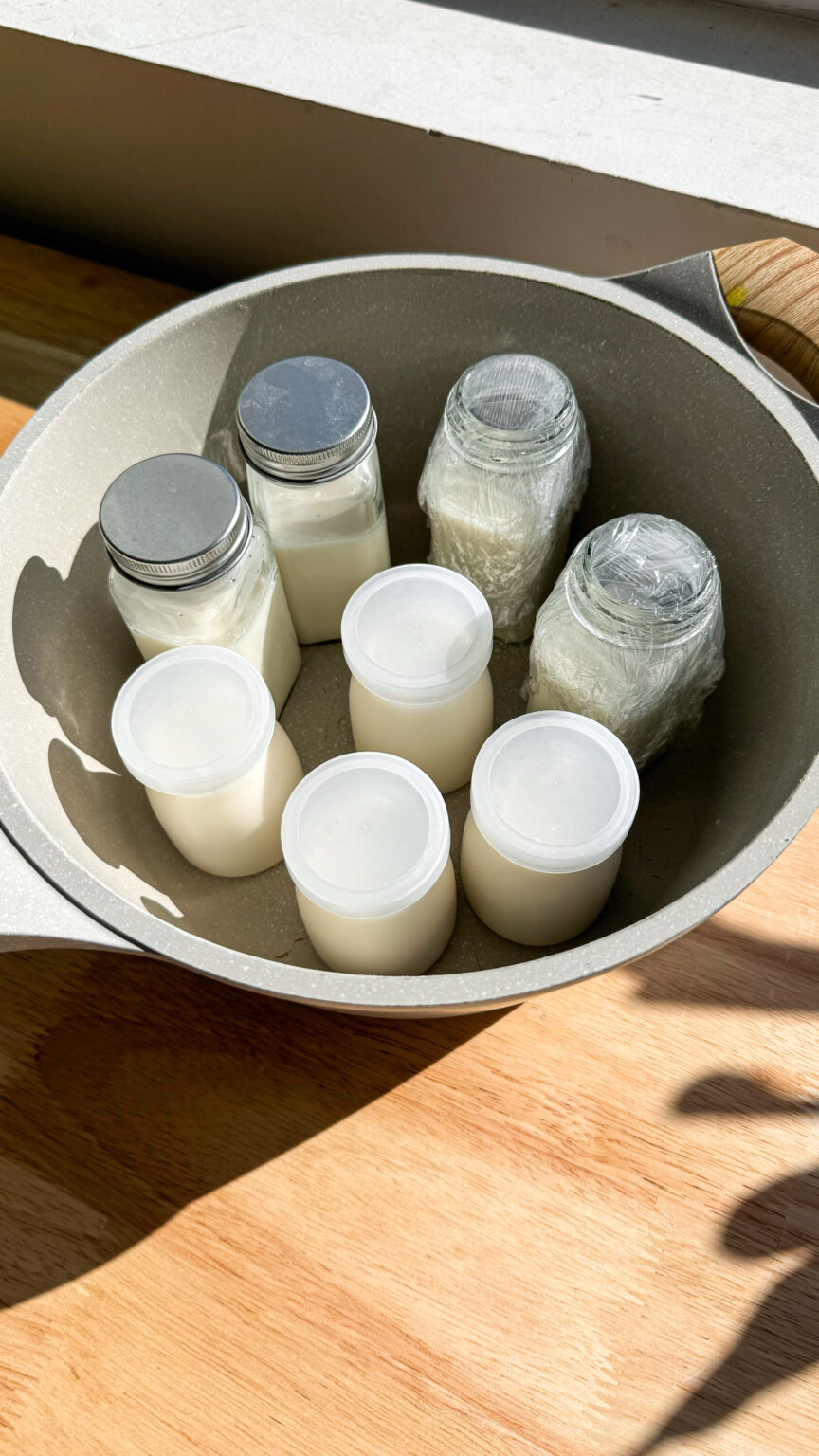 How to make Sữa Chua (Vietnamese Yogurt) - Ta-Daa!